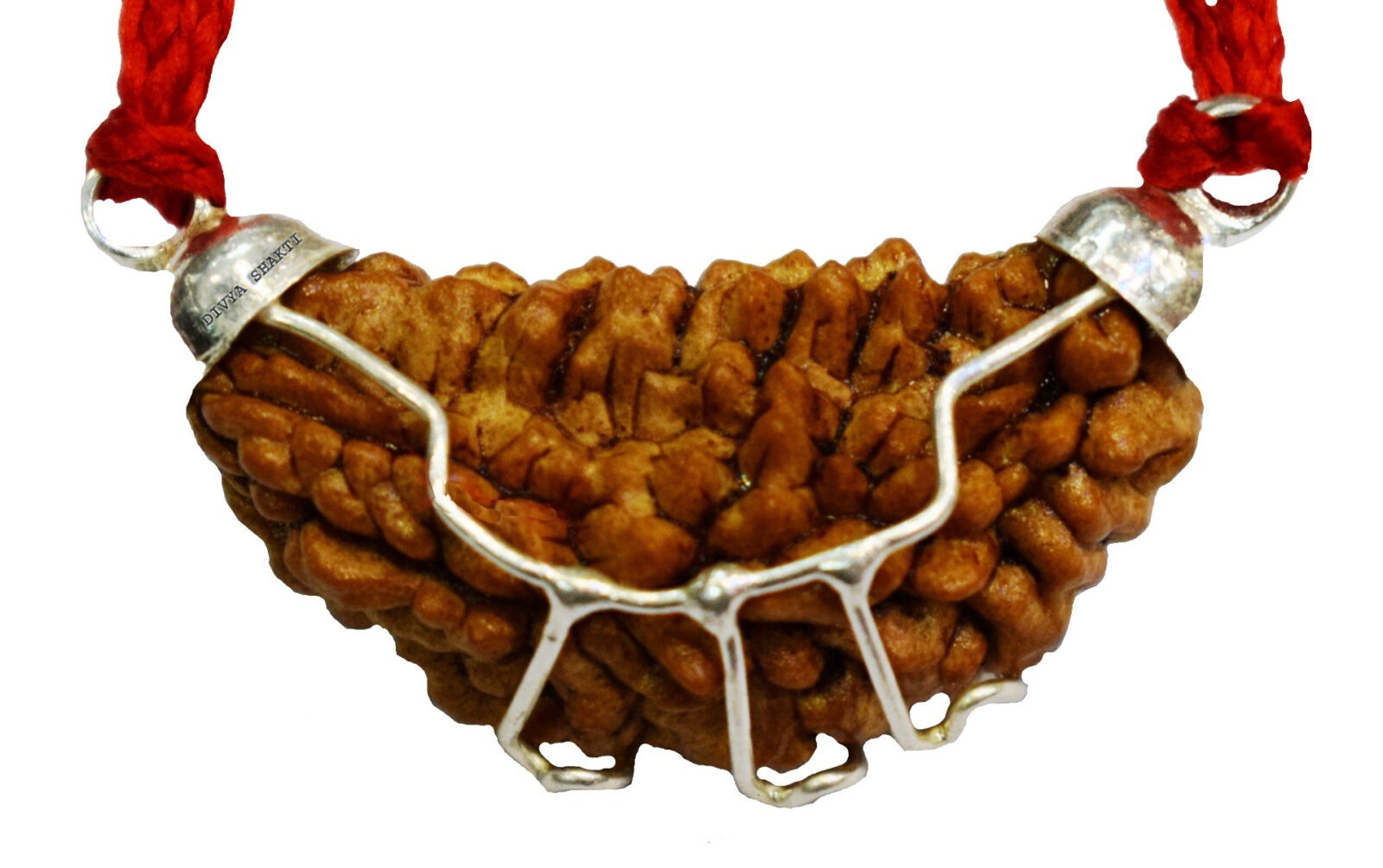 Divya Shakti 100% Original One Face Rudraksha Pendant ( 1 Mukhi ...